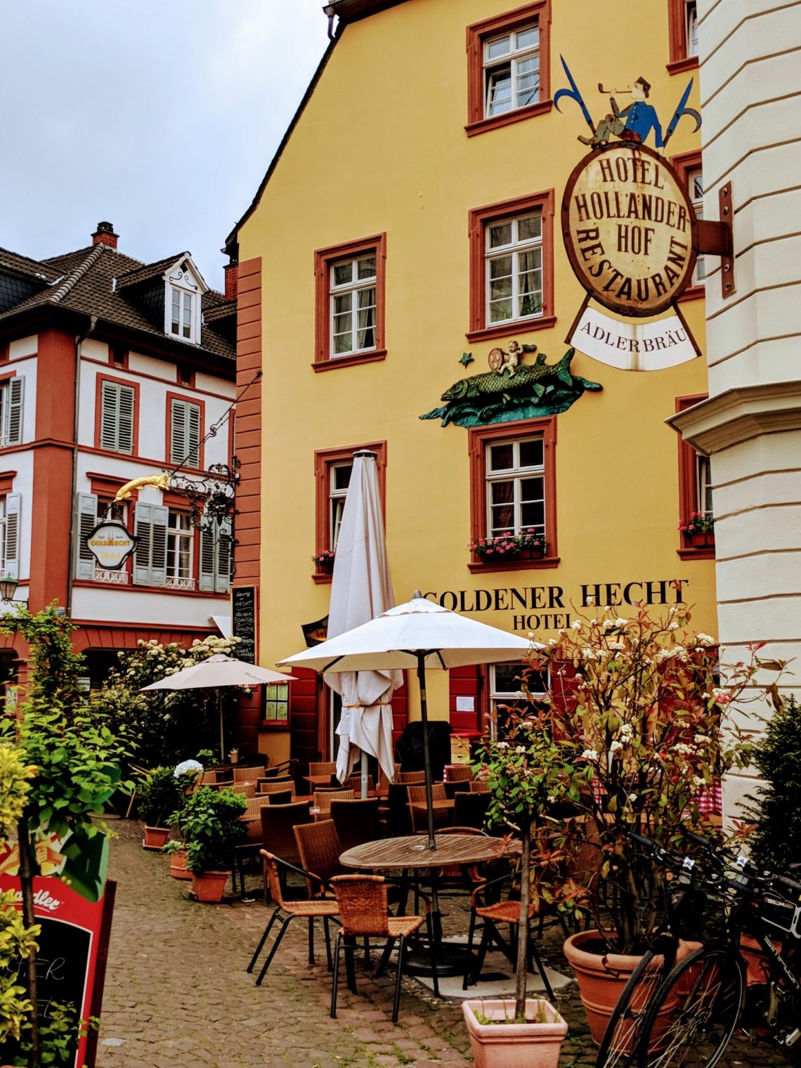 Heidelberg Vegan Guide: Where to Eat, Explore, & More 2026 - Veggies Abroad