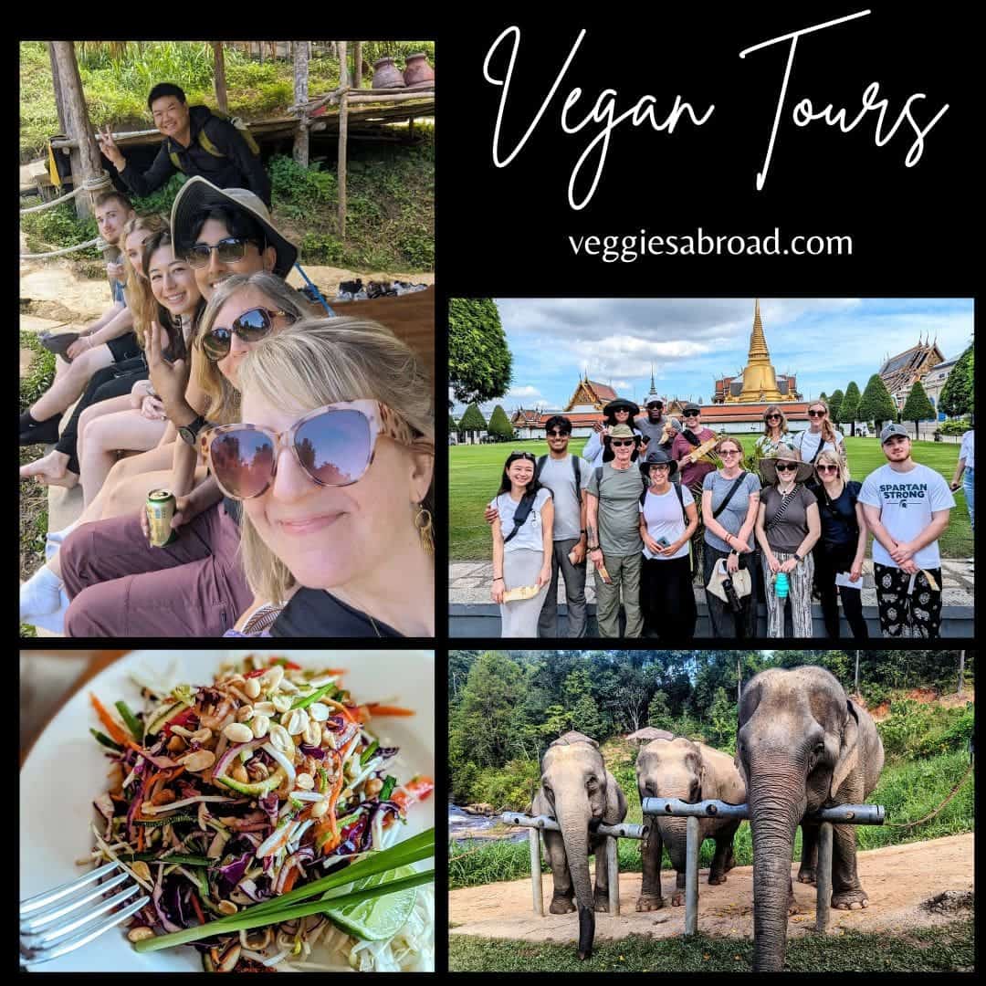 Vegan Travel Guide: Best Trips & Tips for 2025 - Veggies Abroad