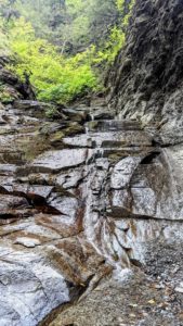 7 Best Finger Lakes Hiking Trails + Waterfall Views 2024 - Veggies Abroad