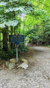 7 Best Finger Lakes Hiking Trails + Waterfall Views 2024 - Veggies Abroad