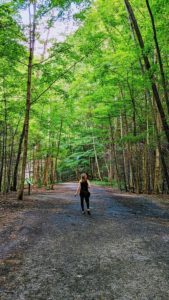 7 Best Finger Lakes Hiking Trails + Waterfall Views 2024 - Veggies Abroad