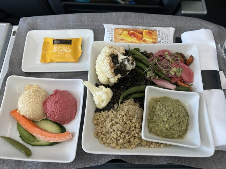 Does American Airlines Have a Vegan Meal? [2025 ] - Veggies Abroad