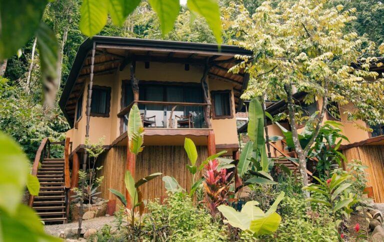 Costa Rica Vegan Resort Guide: 18 Places for a Vegan-Friendly Escape 2026 - Veggies Abroad