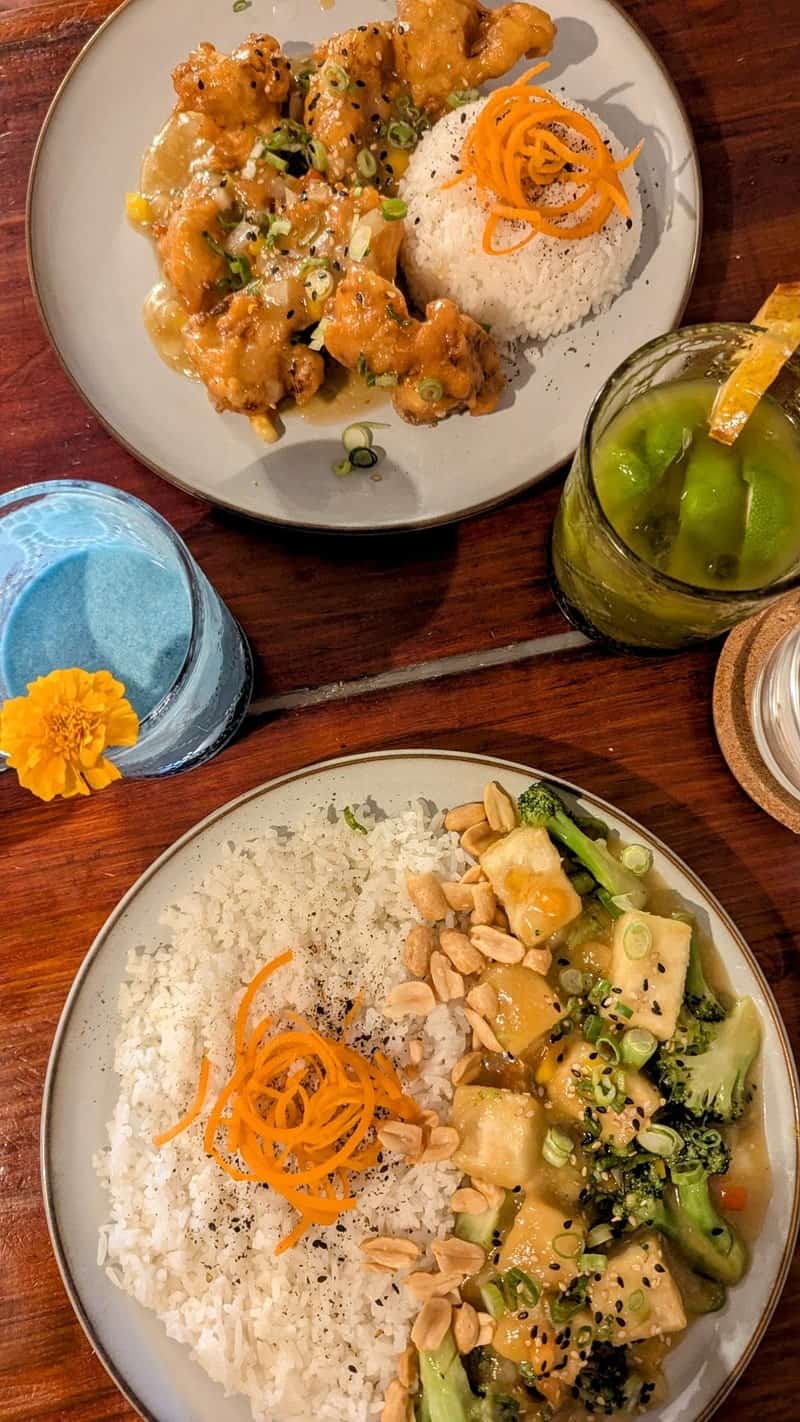 Vegan Puerto Rico: Ultimate Food Guide & More 2026 - Veggies Abroad